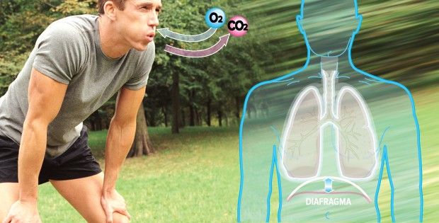 Você respira da maneira correta?